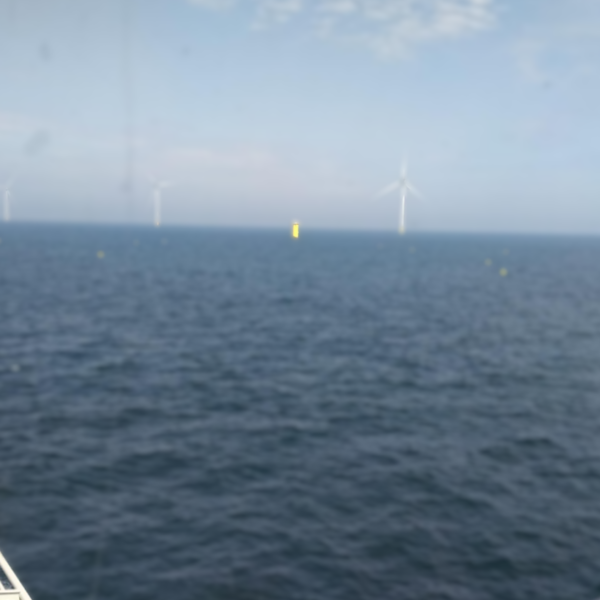 Offshore solar integration with offshore wind is kicking off in The ...